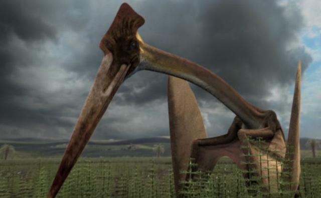 Hatzegopteryx Bbc Planet Dinosaur Wiki Fandom Powered By Wikia