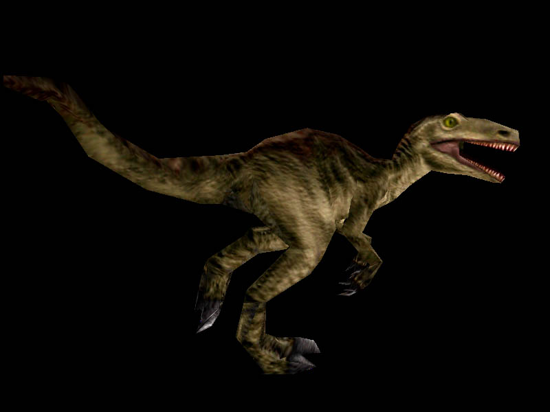 Allosaurus Carnivores Wiki Fandom Powered By Wikia