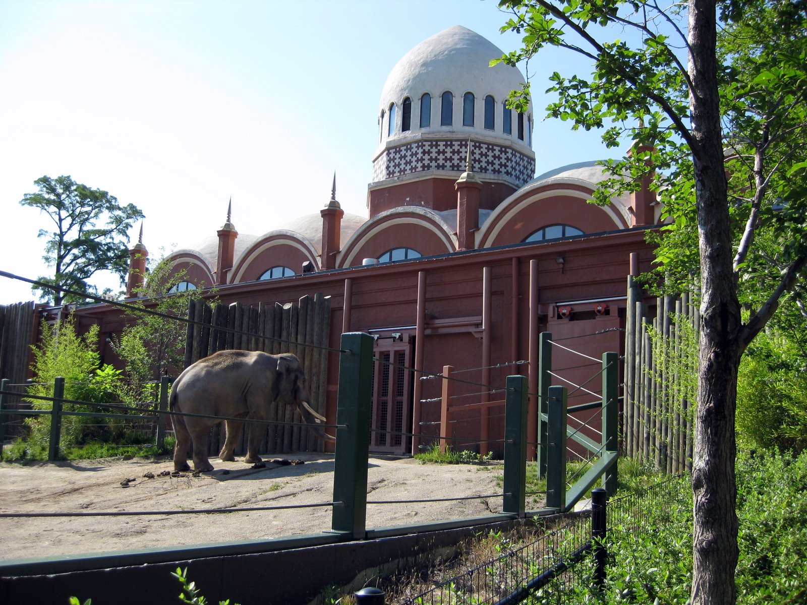 Elephant House (Cincinnati Zoo) | Cincinnati Zoo and Botanical Garden ... Elephant House (Cincinnati Zoo) | Cincinnati Zoo and Botanical Garden ...