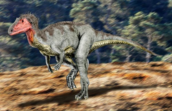 Neovenator | Cool Dino Facts Wiki | Fandom powered by Wikia Neovenator | Cool Dino Facts Wiki | Fandom powered by Wikia