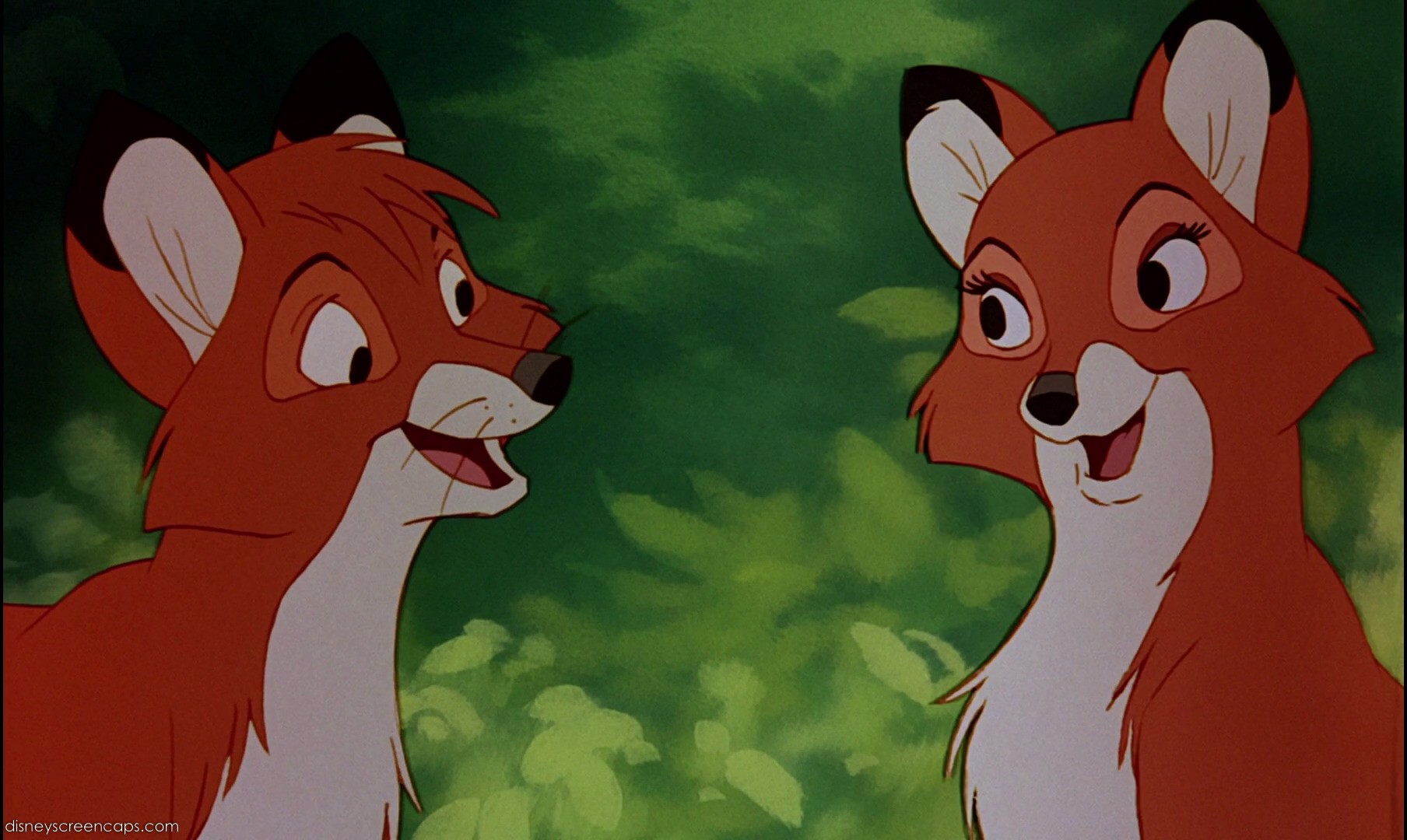 Image Tod Vixey Together 2 Fox And The Hound Degrassi Wiki Fandom Powered By Wikia