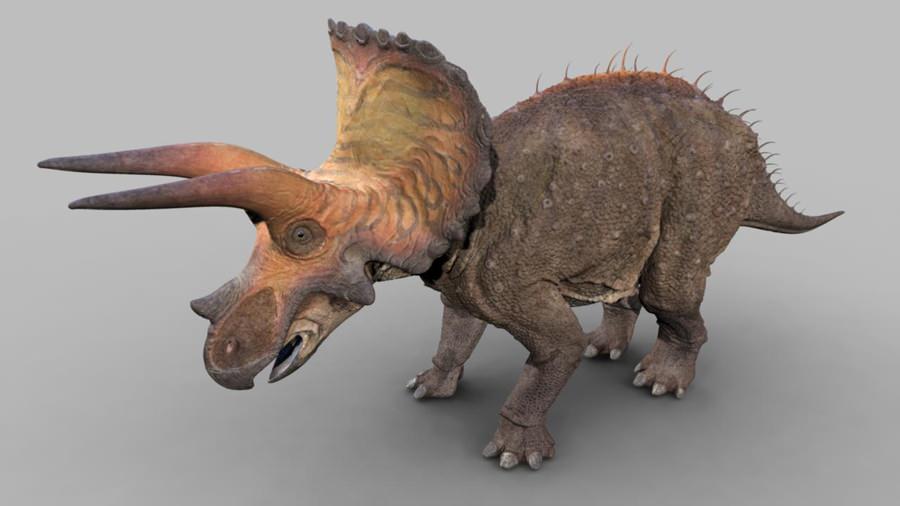 Category:Ceratopsians | Dinosaur Revolution Wiki | Fandom powered by Wikia Category:Ceratopsians | Dinosaur Revolution Wiki | Fandom powered by Wikia