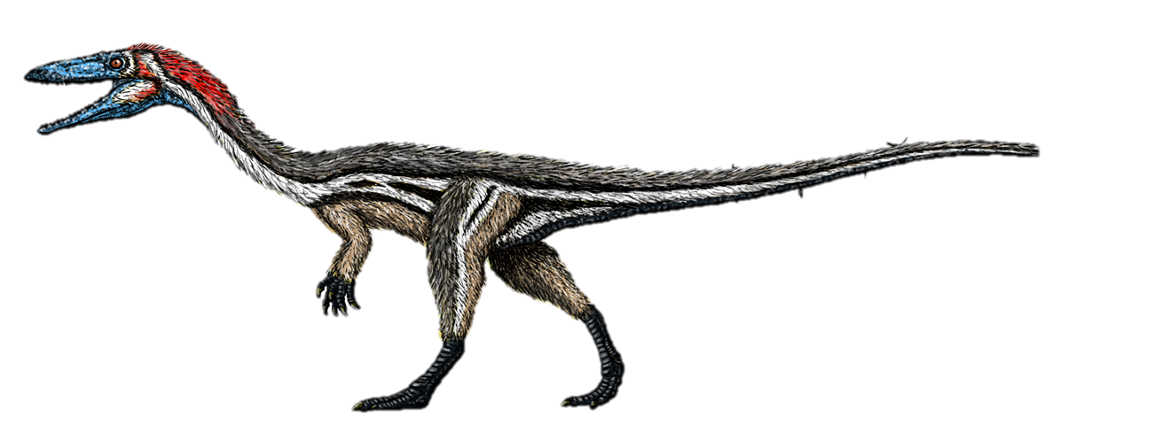Category:Triassic dinosaurs | Dinopedia | FANDOM powered by Wikia Category:Triassic dinosaurs | Dinopedia | FANDOM powered by Wikia