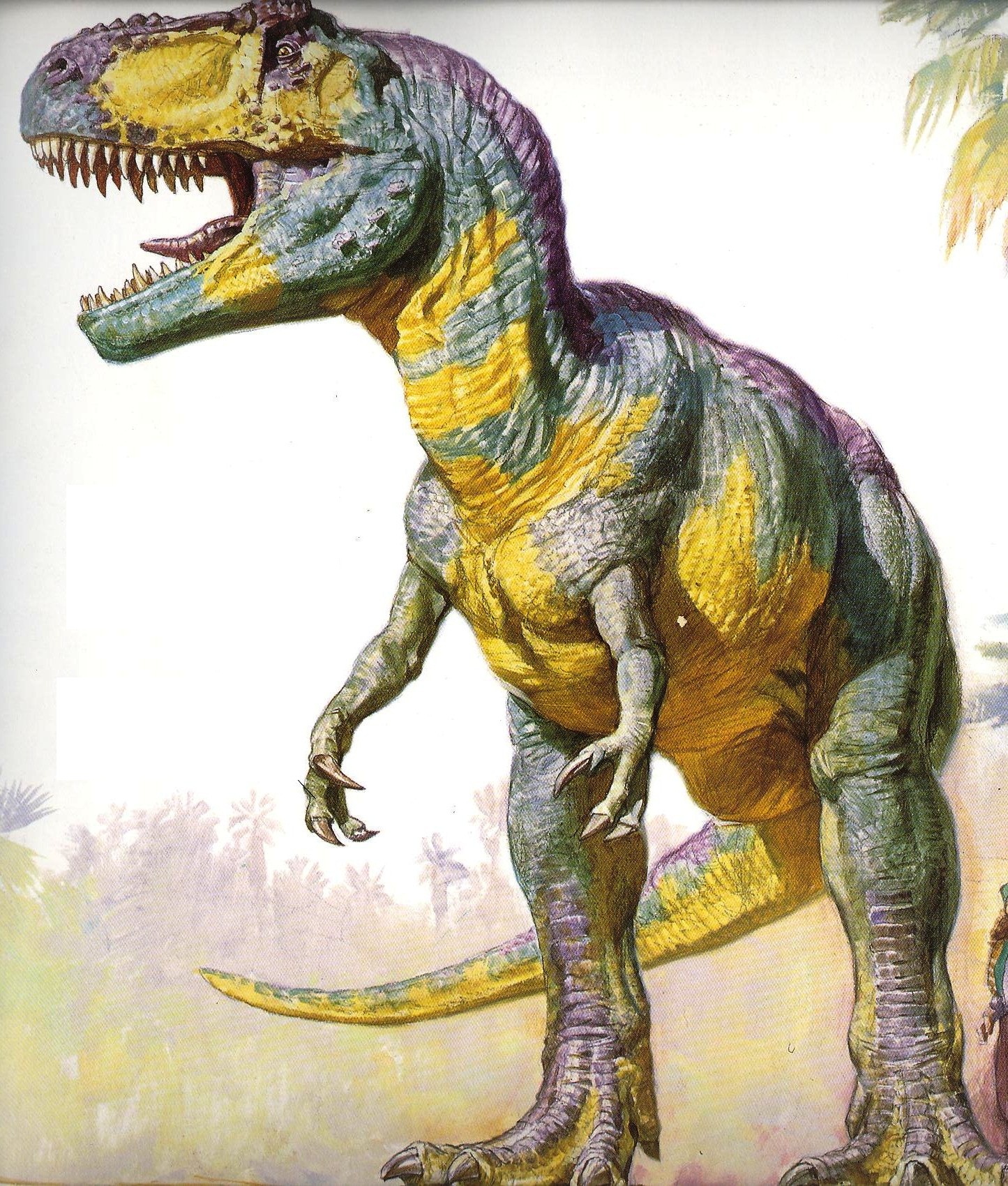 Giganotosaurus | Dinotopia Wiki | Fandom powered by Wikia Giganotosaurus | Dinotopia Wiki | Fandom powered by Wikia