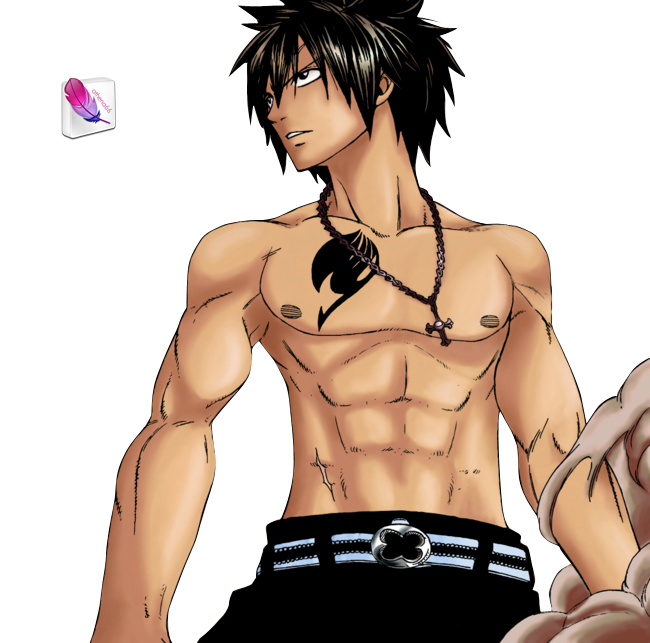 Fichier Grey Fairy Tail Png Fairy Tail Wiki Fandom Powered By Wikia