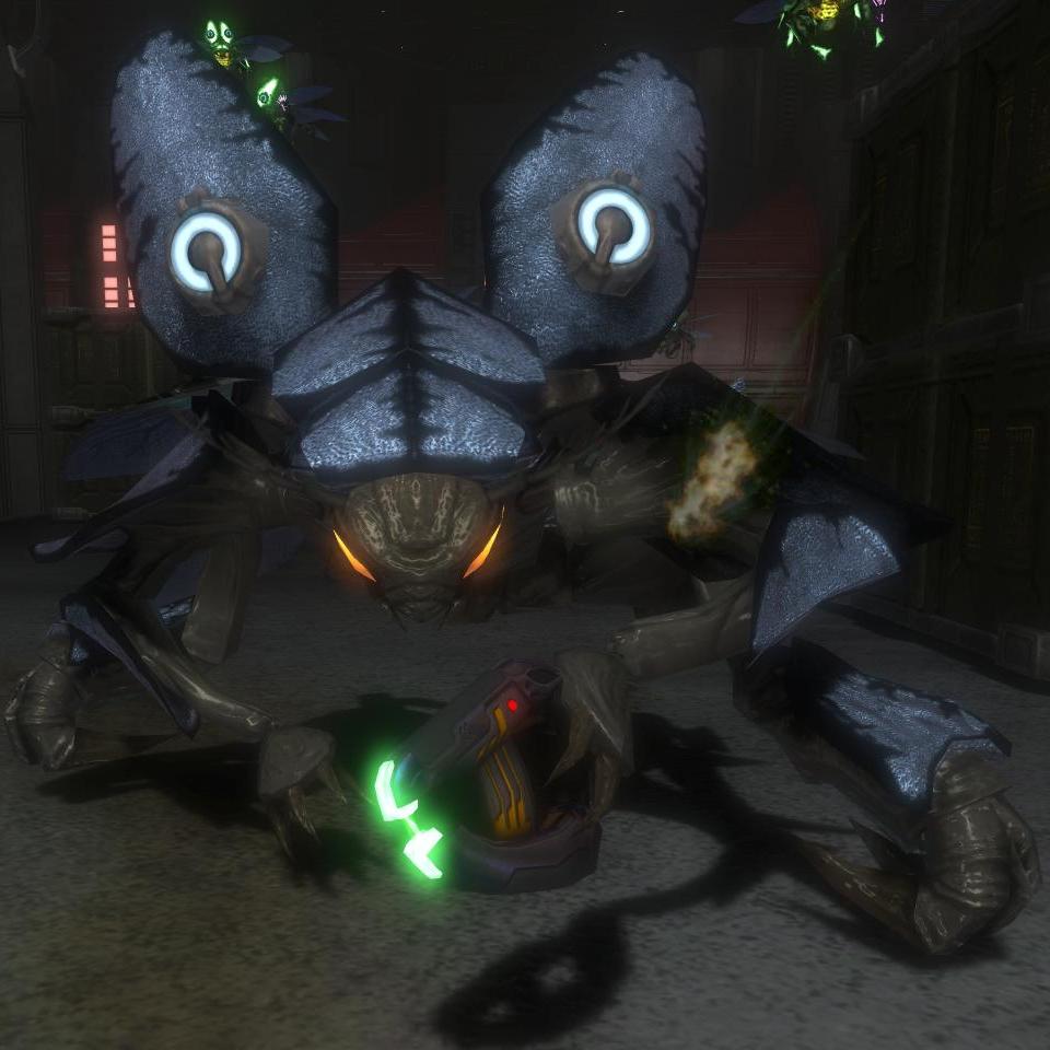 Species | Halo Nation | Fandom powered by Wikia Species | Halo Nation | Fandom powered by Wikia