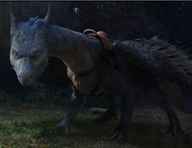 Image Saphira With Saddle Inheriwiki Fandom Powered By Wikia
