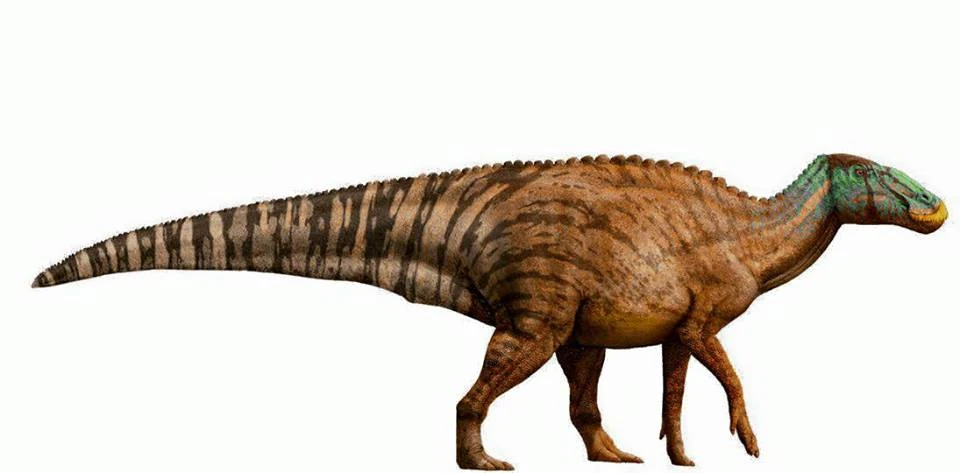 Edmontosaurus | Jurassic Park Wiki | FANDOM powered by Wikia