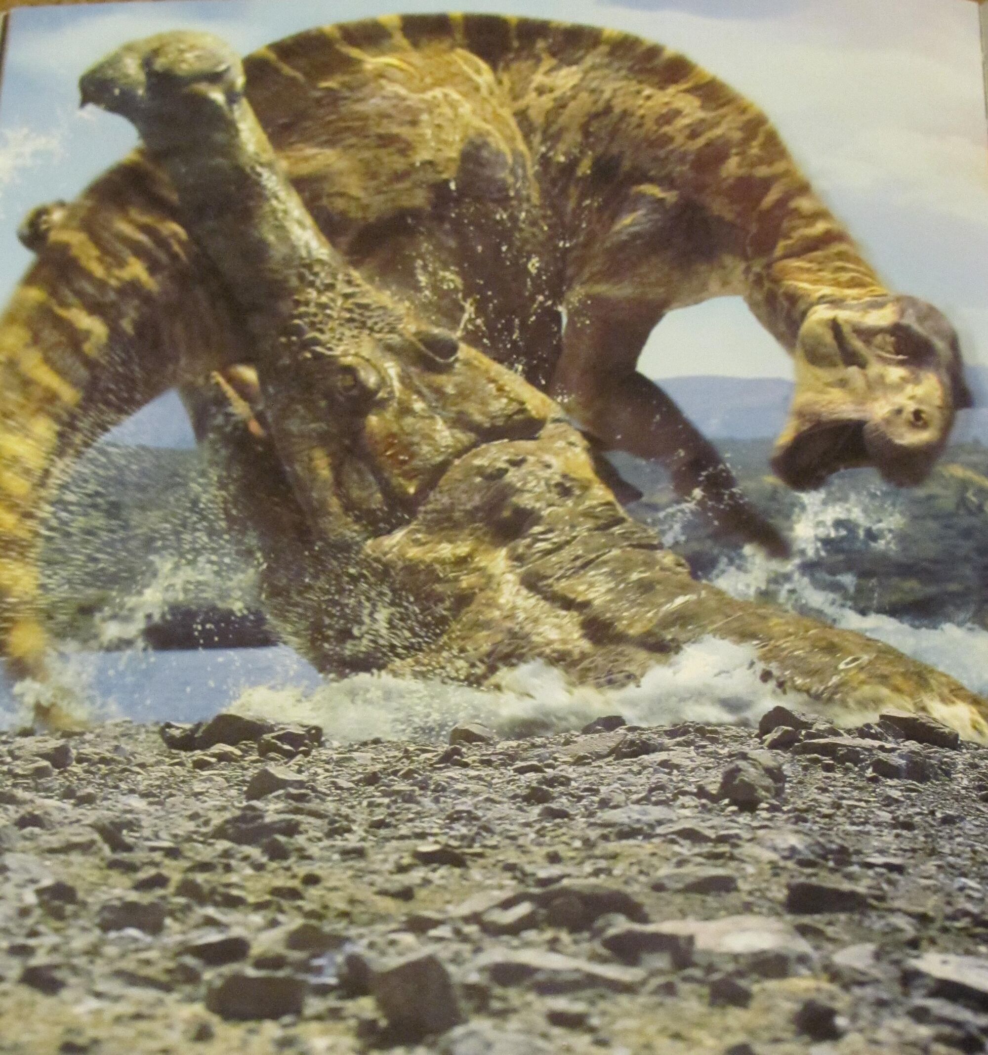 Sarcosuchus Prehistoric Wiki Fandom Powered By Wikia