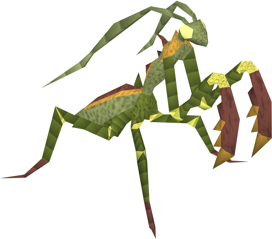 Praying mantis | RuneScape Wiki | FANDOM powered by Wikia Praying mantis | RuneScape Wiki | FANDOM powered by Wikia