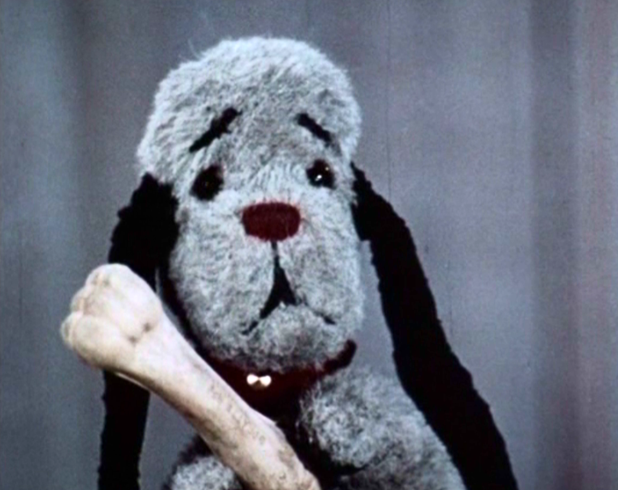 Sweep Sooty Database Wiki Fandom Powered By Wikia