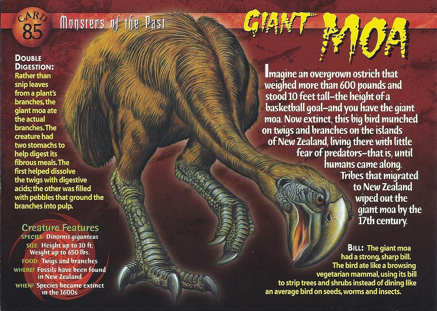 Giant Moa | Wierd N'wild Creatures Wiki | Fandom powered by Wikia
