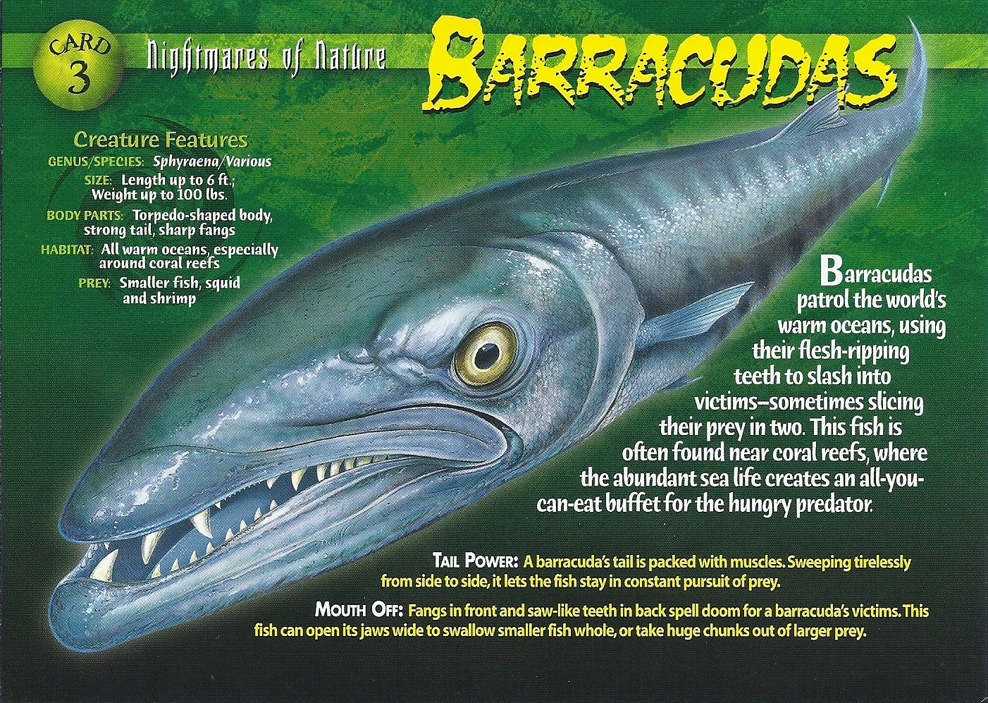 Barracudas | Wierd N'wild Creatures Wiki | Fandom powered by Wikia