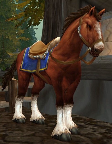 Chestnut Mare | WoWWiki | Fandom powered by Wikia Chestnut Mare | WoWWiki | Fandom powered by Wikia