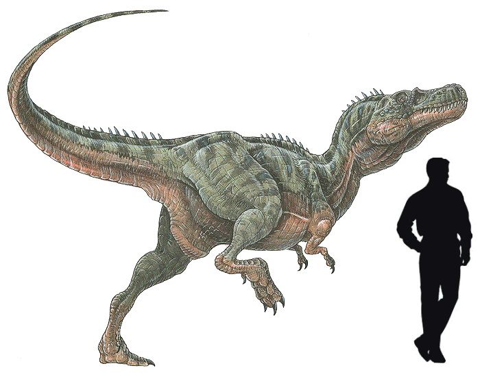 Alectrosaurus Wiki Acam Fandom Powered By Wikia