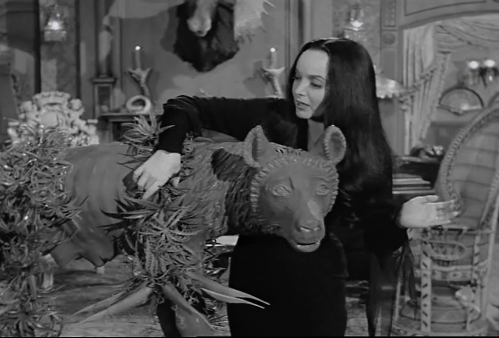 Cleopatra | Addams Family Wiki | Fandom powered by Wikia