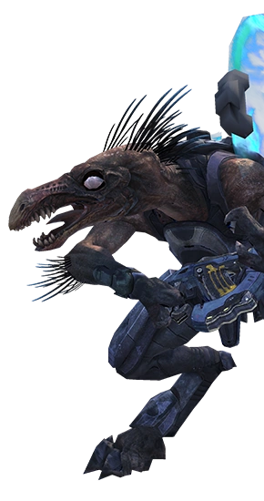 Image - HaloReach - Jackal.png | Alien Species | FANDOM powered by Wikia