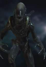 Lurker Xenomorph | Alien Species | Fandom powered by Wikia