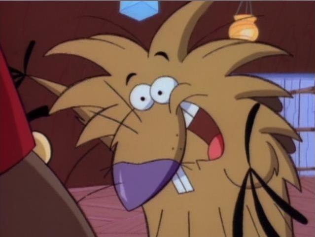 Norbert Beaver | The Angry Beavers Wiki | FANDOM powered by Wikia