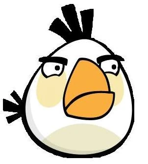 Image - White bird.jpg | Angry Birds Wiki | FANDOM powered by Wikia