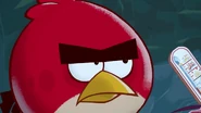 Fired Up | Angry Birds Wiki | Fandom powered by Wikia