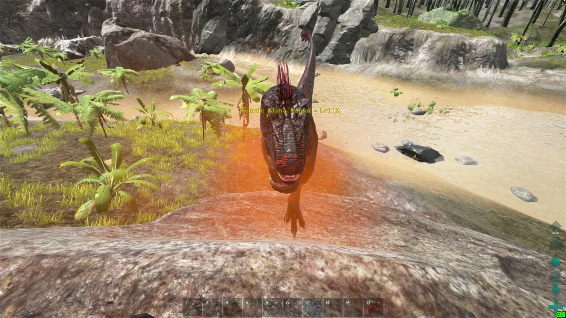 Image - ARK-Alpha Raptor Screenshot 001.jpg | ARK: Survival Evolved ...