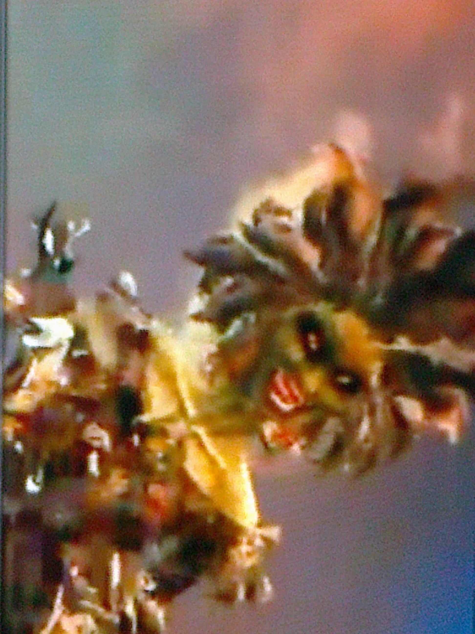 Image - Photo1018.jpg | CommanderSafeguard Wiki | FANDOM powered by Wikia