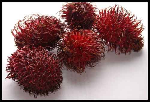 Mama Chino Fruit _ Mamon Chino Costa Rica – IRMT