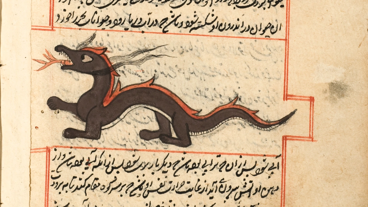 Image - Dragon-islam.png | Cryptid Wiki | FANDOM powered by Wikia