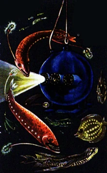 Beebe's Abyssal Fishes - Cryptid Wiki