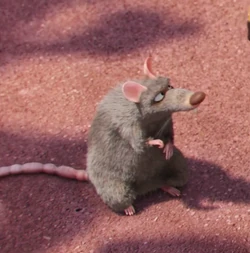 Poochy | Despicable Me Wiki | FANDOM powered by Wikia