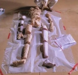 Fountain Victim (Ice Truck Killer) | Dexter Wiki | FANDOM powered by Wikia