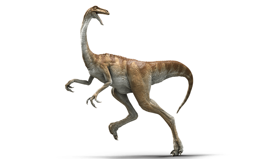Gallimimus | Dinosaur Wiki | Fandom powered by Wikia