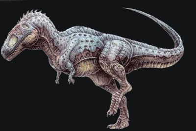 Tyrannotitan | Dinosaur Wiki | Fandom powered by Wikia