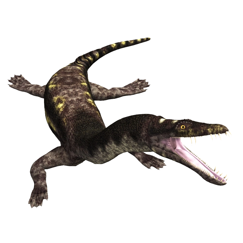 Nothosaurus | Dinosaur Wiki | Fandom powered by Wikia