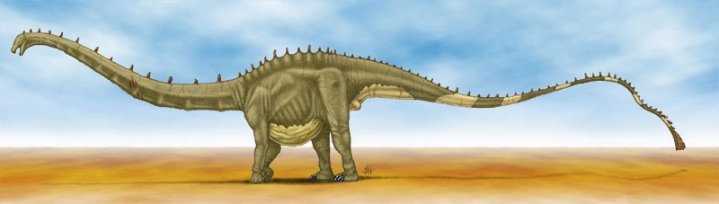 Supersaurus | Dinosaur Wiki | Fandom powered by Wikia