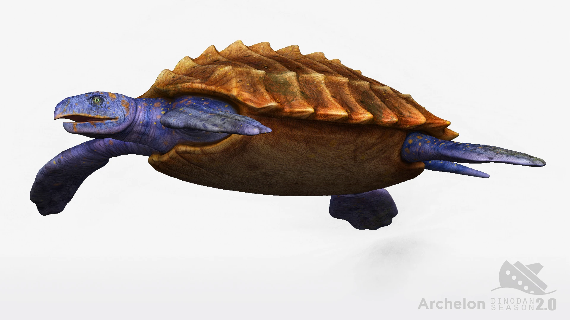 Archelon | DinoPedia - The Dino Dan Wiki | FANDOM powered by Wikia