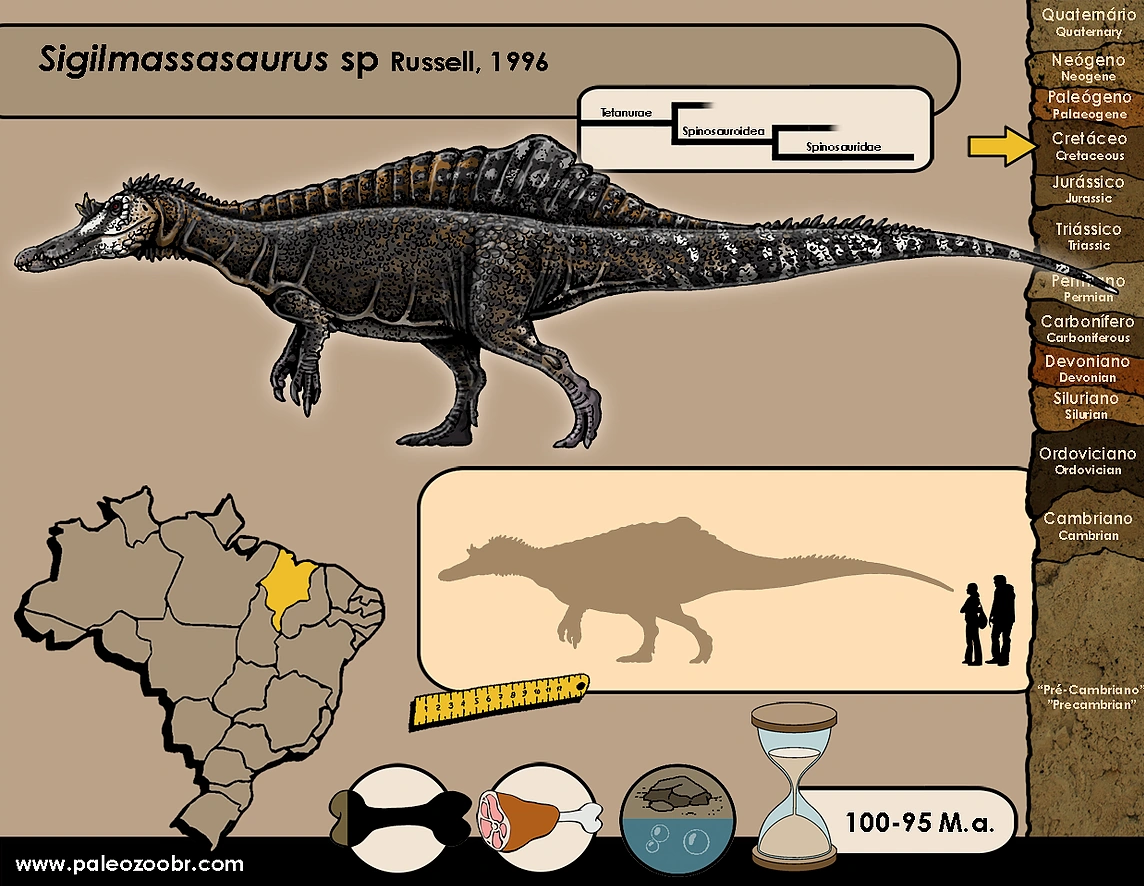 Sigilmassasaurus | Dinopedia | FANDOM powered by Wikia