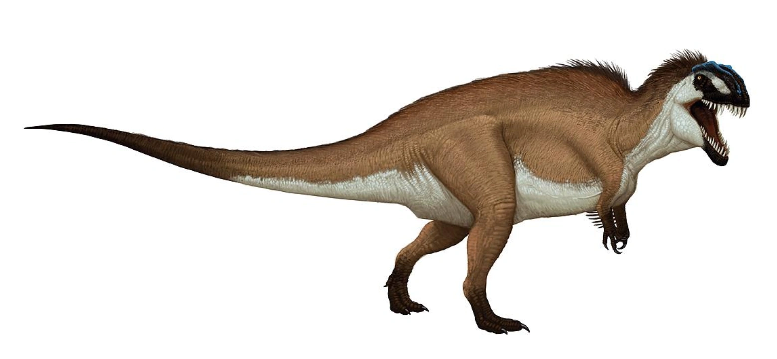 Acrocanthosaurus | Dinopedia | FANDOM powered by Wikia