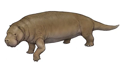 Pezosiren | Dinopedia | Fandom powered by Wikia