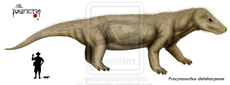 Procynosuchus | Dinopedia | FANDOM powered by Wikia
