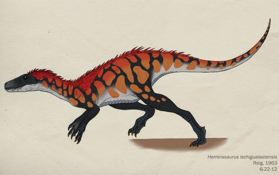 Herrerasaurus | Dinopedia | Fandom powered by Wikia
