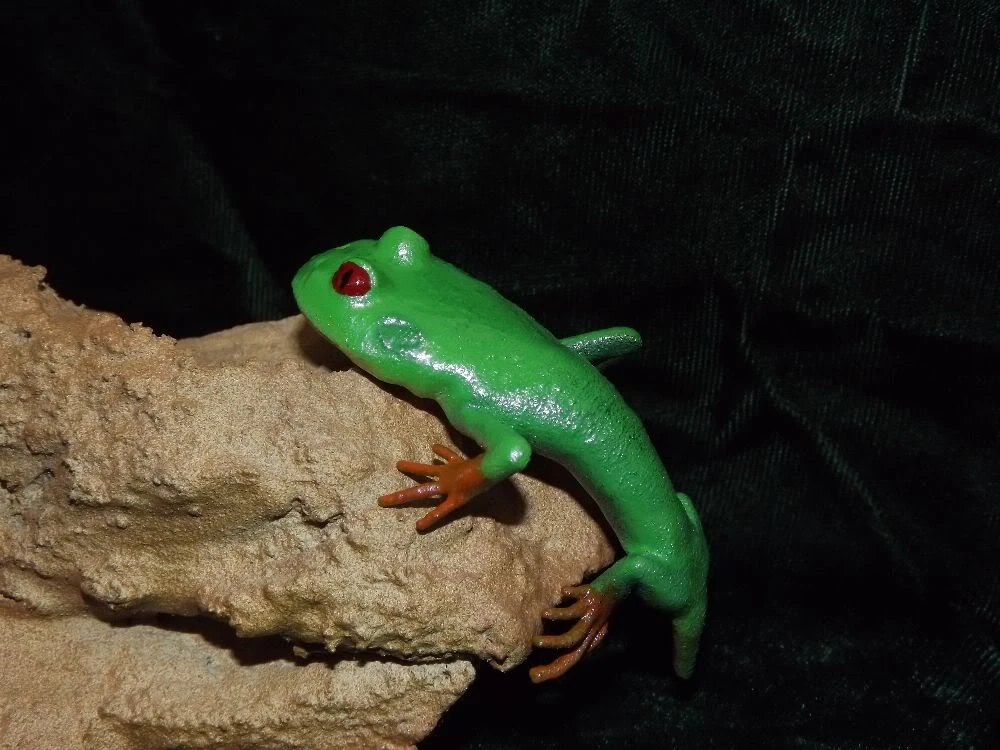 Gerobatrachus | Dinopedia | Fandom powered by Wikia