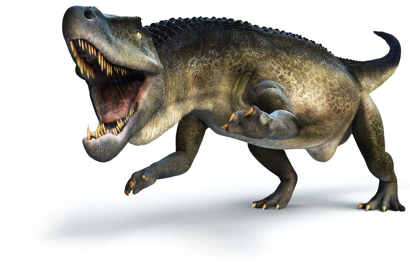 Postosuchus | Dinopedia | Fandom powered by Wikia
