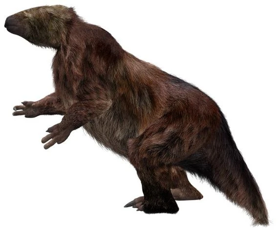 Megatherium | Dinopedia | FANDOM powered by Wikia