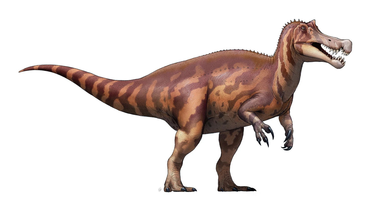 Irritator | Dinopedia | Fandom powered by Wikia