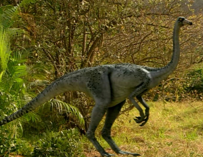 Ornithomimus | Dinopedia | FANDOM powered by Wikia