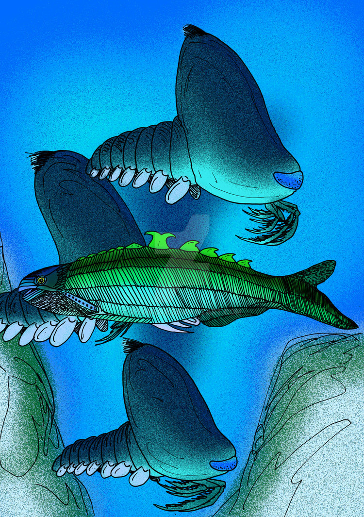 Category:Paleozoic fish | Dinopedia | FANDOM powered by Wikia Category:Paleozoic fish | Dinopedia | FANDOM powered by Wikia