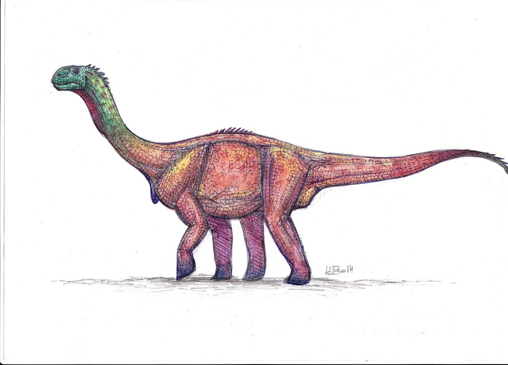 Quetzalcoatlus Dinopedia Fandom Powered By Wikia