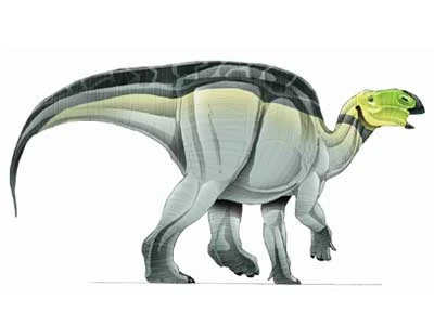 Hadrosaurus | Dinopedia | Fandom powered by Wikia